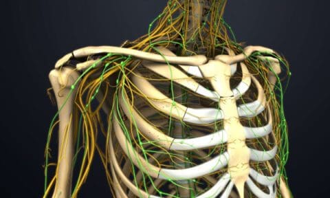 Perineural Injection Therapy (PIT) | PIT Injections | NW Regen